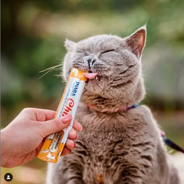 Snacks Gatos WohlPet - Tienda de Mascotas Cali