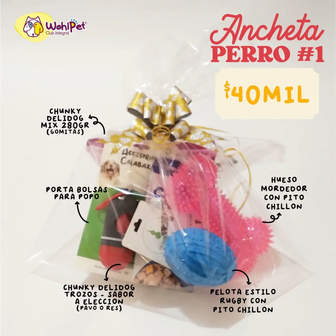 Ancheta para Perro 1 - Tienda de Mascotas Cali